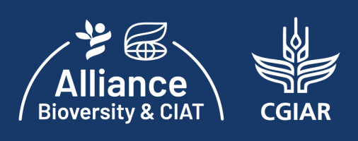 Summary of Corporate Credit Card Policy Training Alliance Bioversity ...